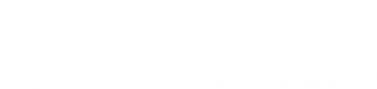 Home - Shandeez Persian Cuisine