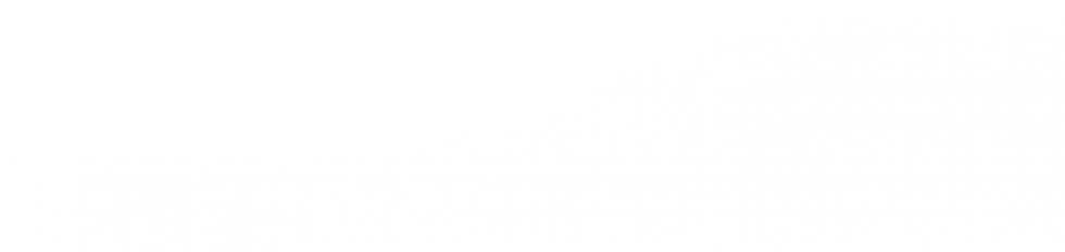 Home - Shandeez Persian Cuisine