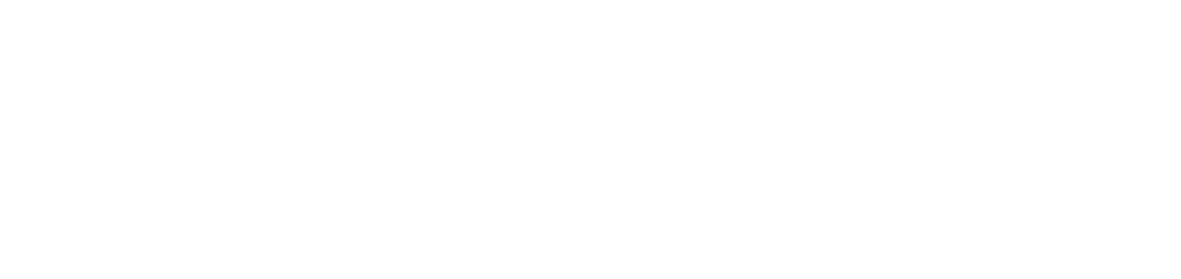 Home - Shandeez Persian Cuisine